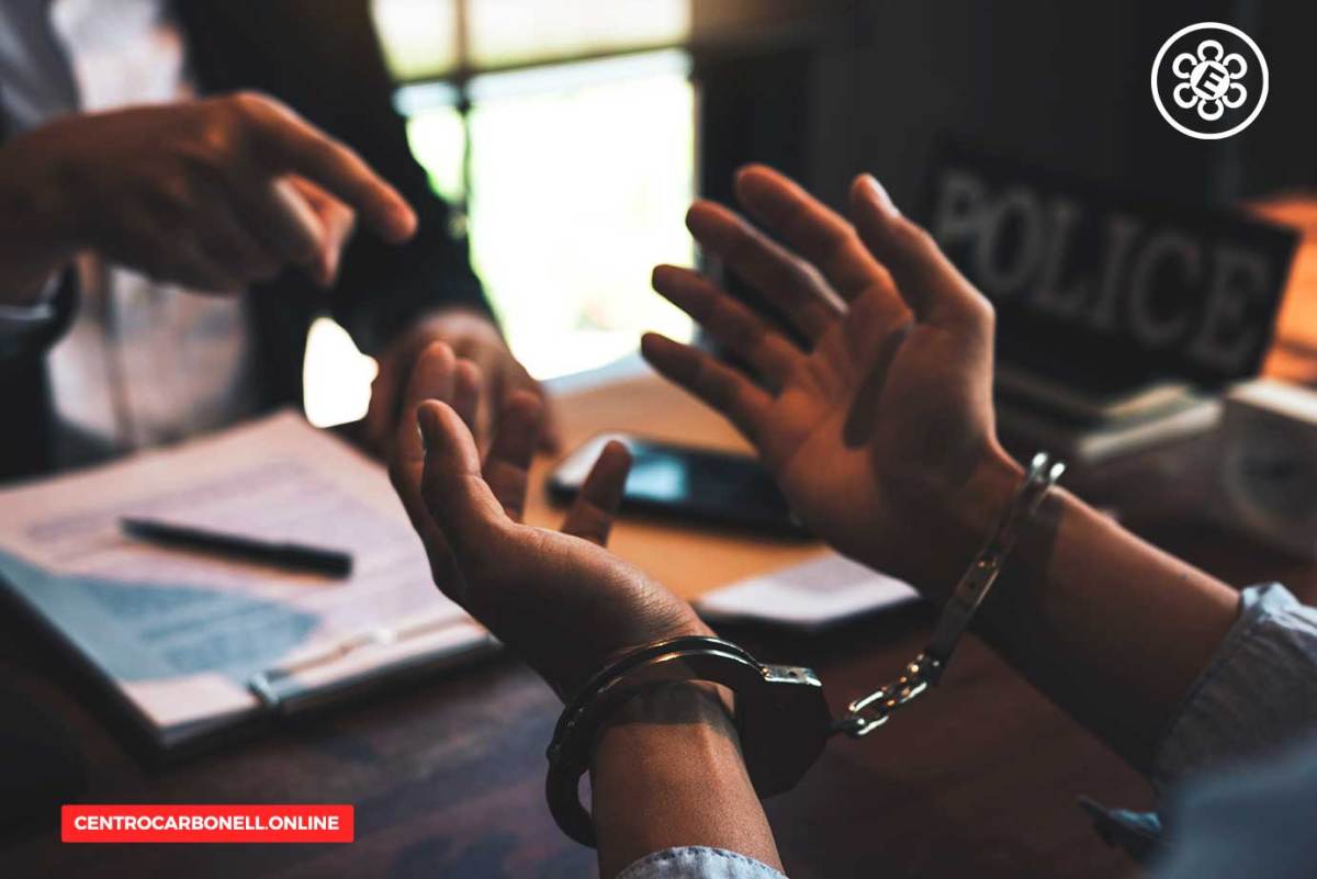 10 principios elementales del debido proceso legal