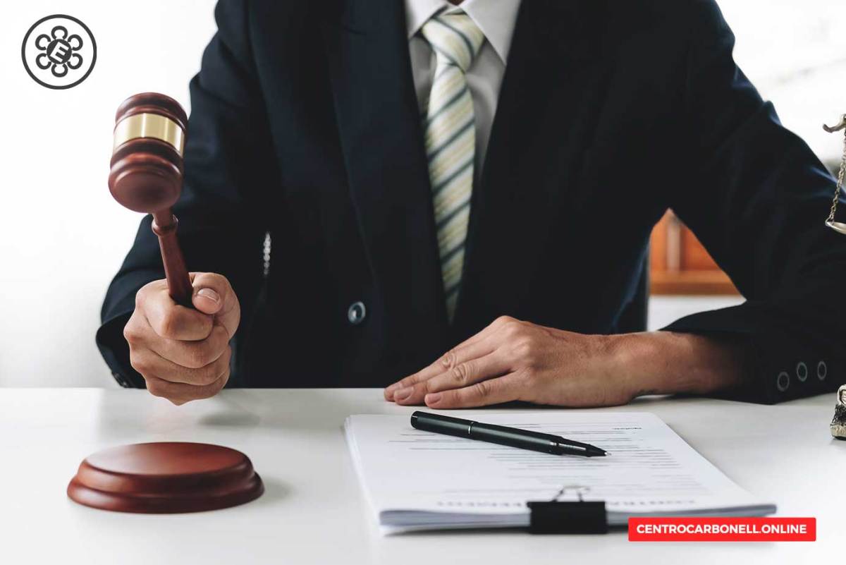 10 principios elementales del debido proceso legal